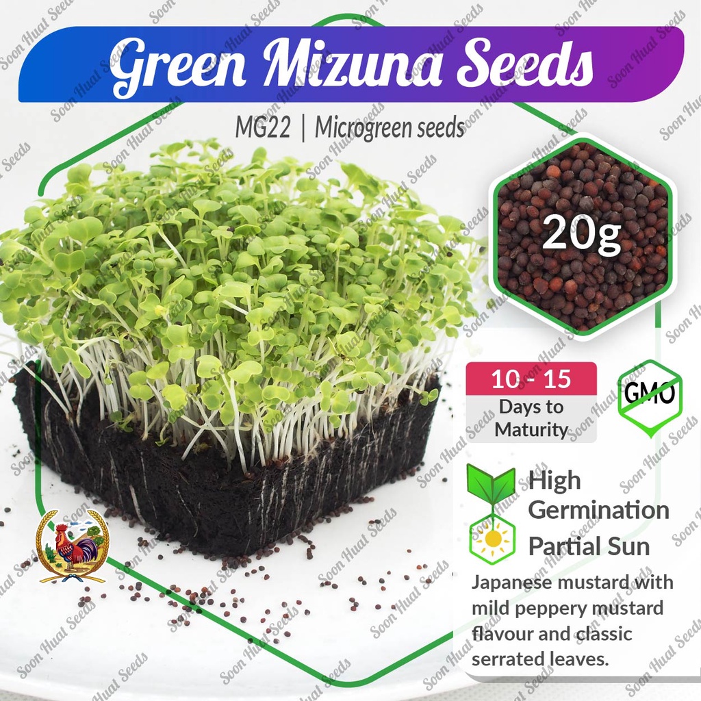 [20g] MG22 Green Mizuna Microgreen Soon Huat Seeds | Shopee Malaysia