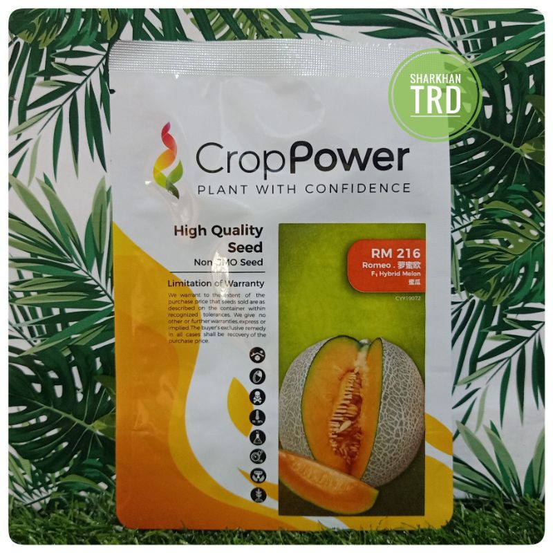 Paket 500 Seeds RM 216 ROMEO Crop Power Biji Benih Rock Melon F1 Hybrid ...