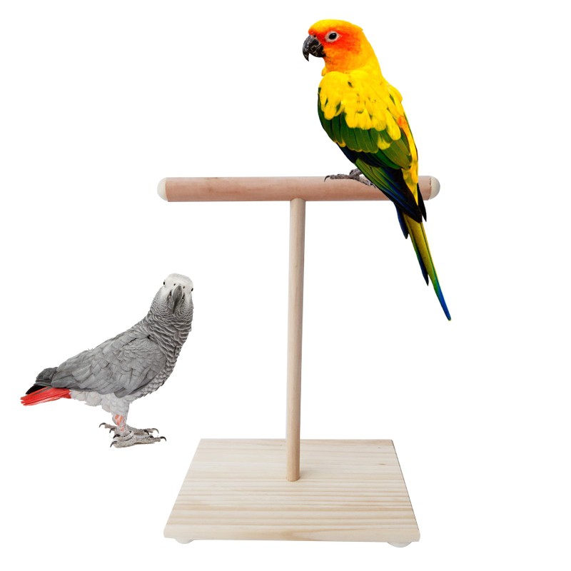 Wooden Parrot Perch T Stand Bird Training Paw Grinding Toys Pet ...
