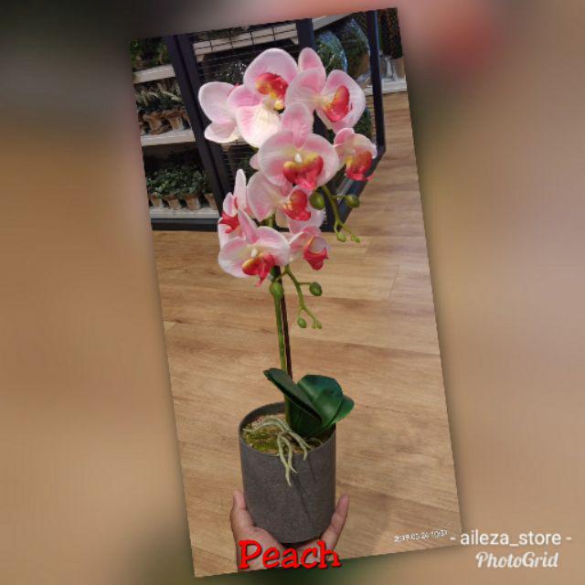 Kaison Artificial Potted Plant Purple & White Orchid Pokok Bunga Hiasan ...