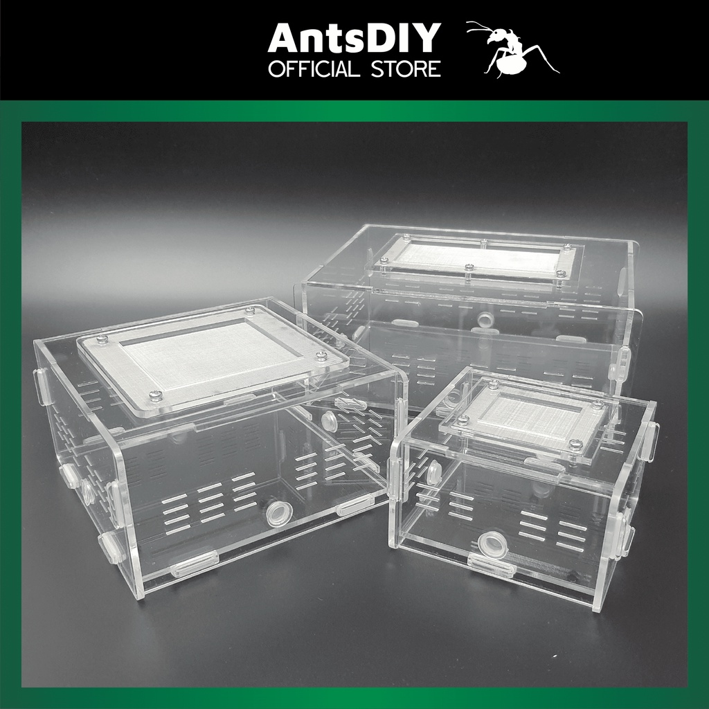 ACRYLIC OUTWORLD (DETACHABLE) - ant keeping ant farm ant nest pets pet ...