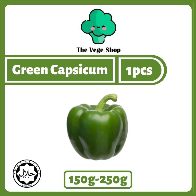Cili Epal Hijau / Green Capsicum 青灯笼椒 150g-250g Daily Fresh Pick ...