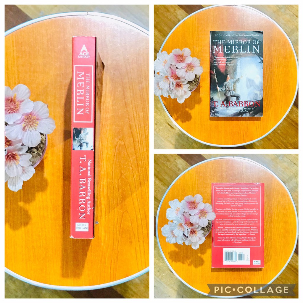 [USED] The Mirror of Merlin by TA Barron (Book Four of The Lost Years ...