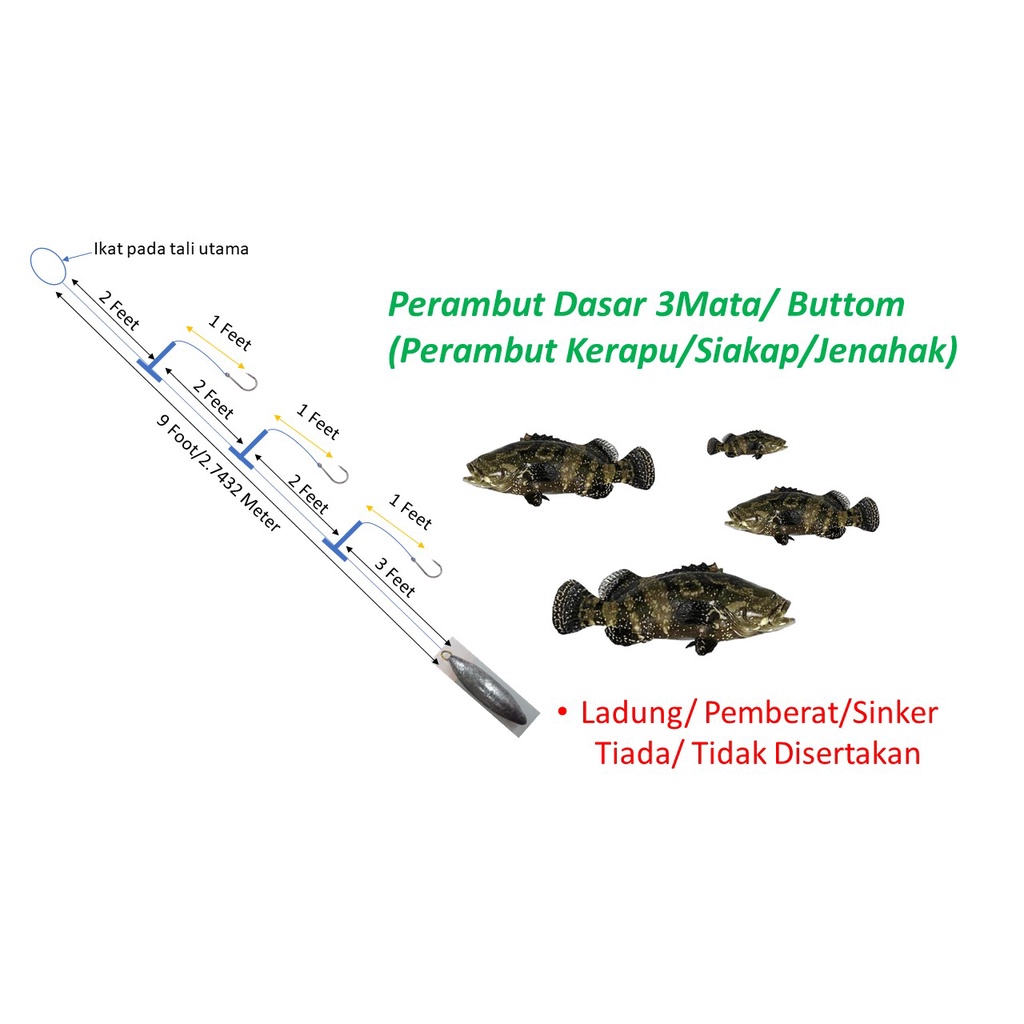 Perambut Dasar 3 Mata/ Perambut Kerapu/ Perambut Siakap/ Perambut ...