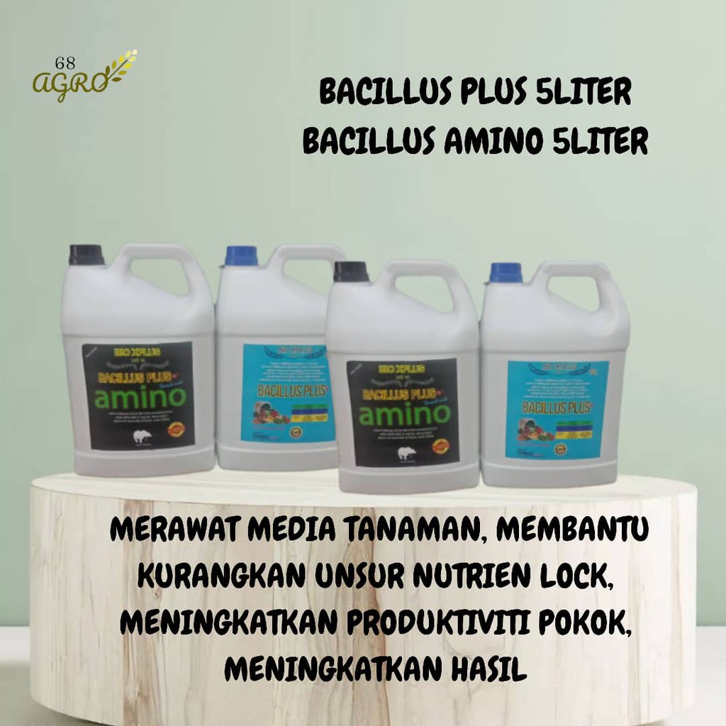 {READY STOK} COMBO BACILLUS PLUS & BACILLUS PLUS AMINO | Shopee Malaysia