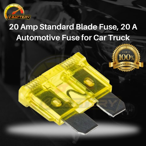 (BIG) 20 Amp Standard Blade Fuse, 20 A Automotive Fuse for Car Truck ...