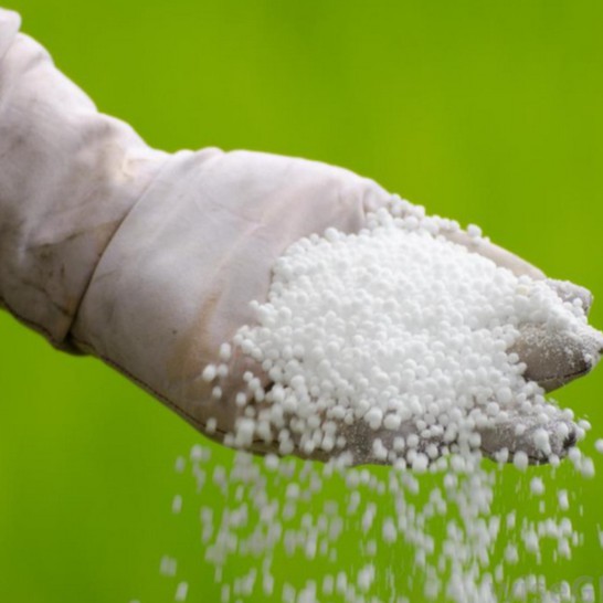 BUTIRAN UREA/BAJA N46% AGRENAS BAJA UREA/MEMPERCEPATKAN PERTUMBUHAN-1KG ...