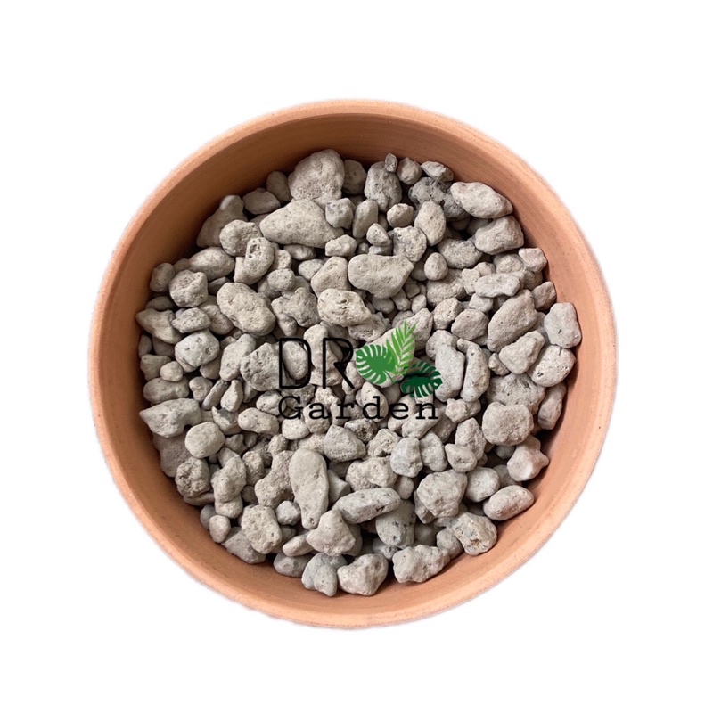 PUMICE For Soil Mix/Base Layer 500G/PACK | Shopee Malaysia
