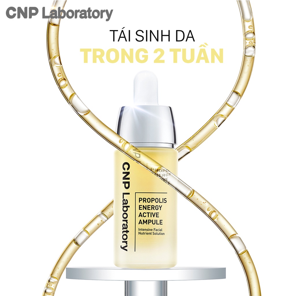 [CNP X Ho Bich Tram] CNP Laboratory Propolis Energy Ampule Propolis Extract Skin Regeneration ...