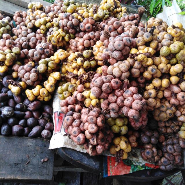 🔥HOT ITEM 🔥BUAH KELUBI FRESH / ASAM PAYA | Shopee Malaysia