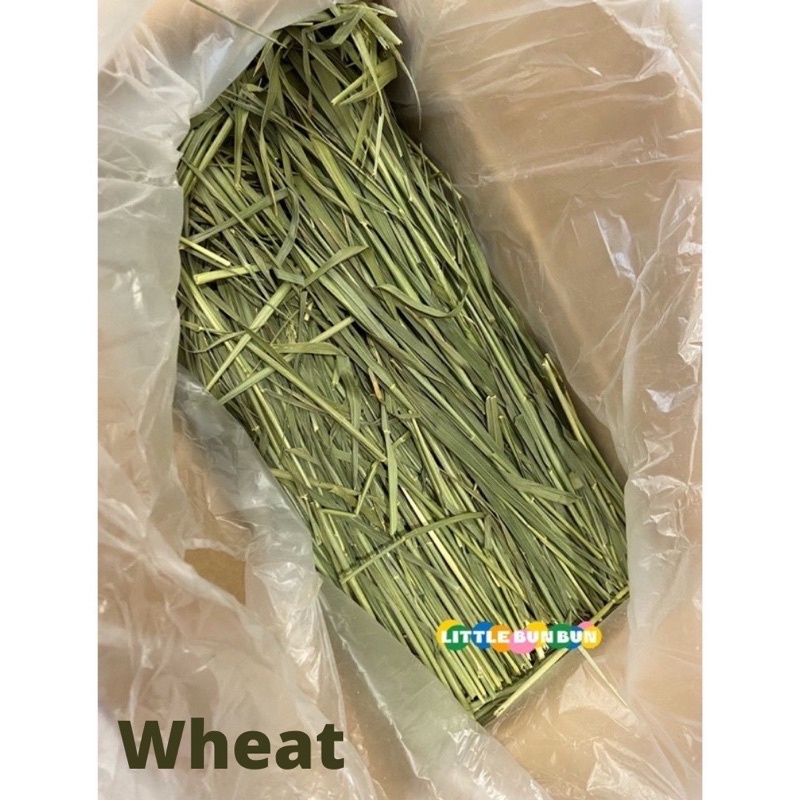 SALES-Premium dried Timothy hay/ wheatgrass/orchard/Oat/barley🌾 dry ...