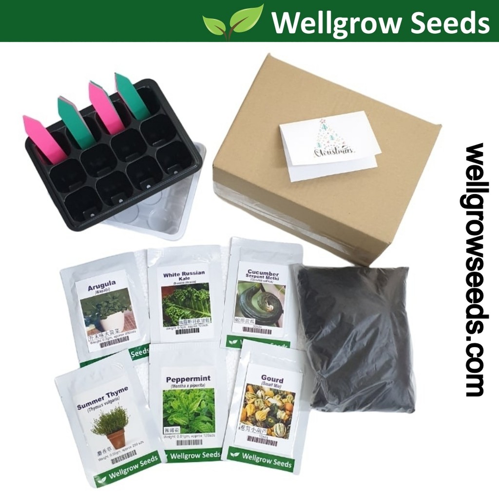 Vegetable Seeds Starter Set for Beginner [ Starter Kit ] || Ideal As ...
