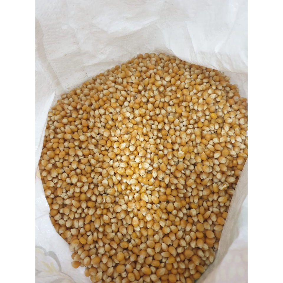 🎂WANT2BAKE🎂POP CORN BERTIH JAGUNG / POPCORN MUSHROOM [ 250G / 500G ...