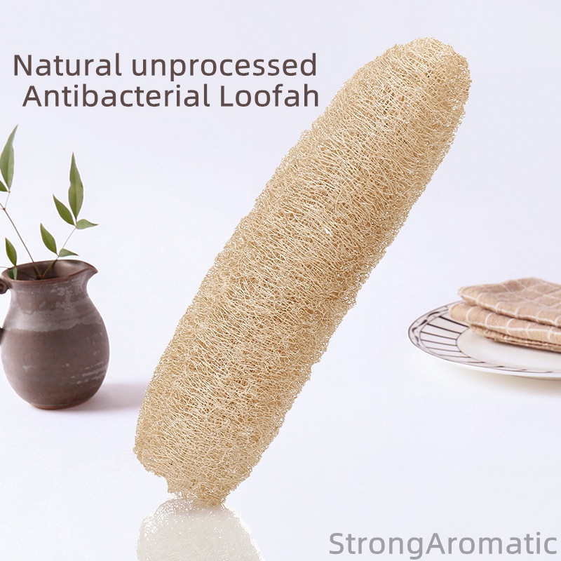 [READY STOCK]STRA Natural unprocessed luffa Loofah Antibacterial Loofah ...
