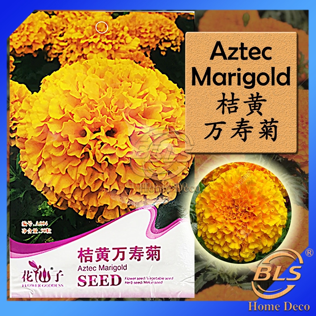 【EXPIRED】A004 AZTEC MARIGOLD FLOWER GODDESS VEGETABLE FLOWER FRUIT HERB ...