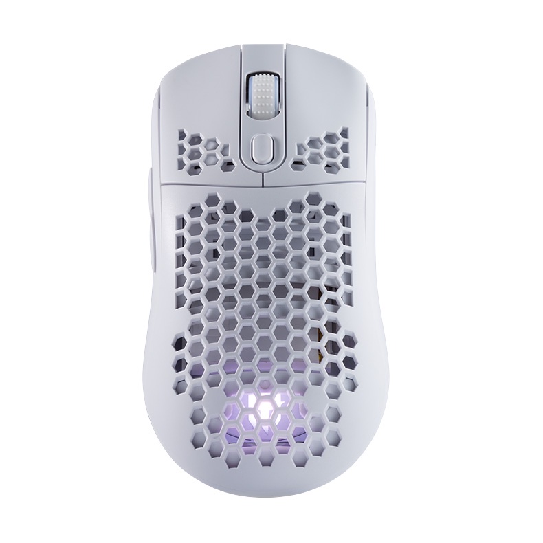 TECWARE EX1 Wireless Gaming Mouse with RGB Charging Dock (1 Year ...