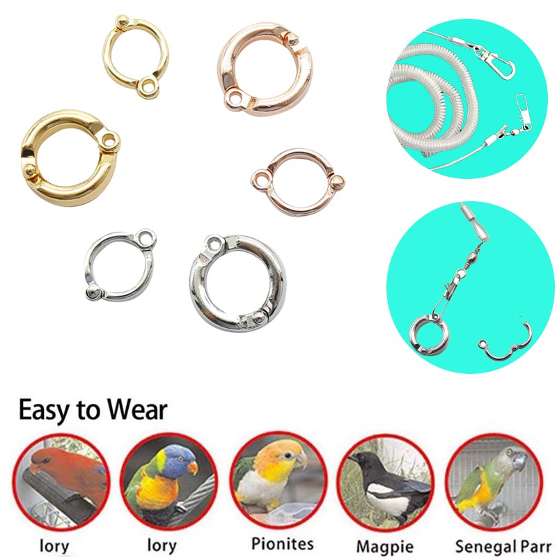 Bird Training Foot Ring Stainless Steel 4 to 10mm Flight Training Foot ...