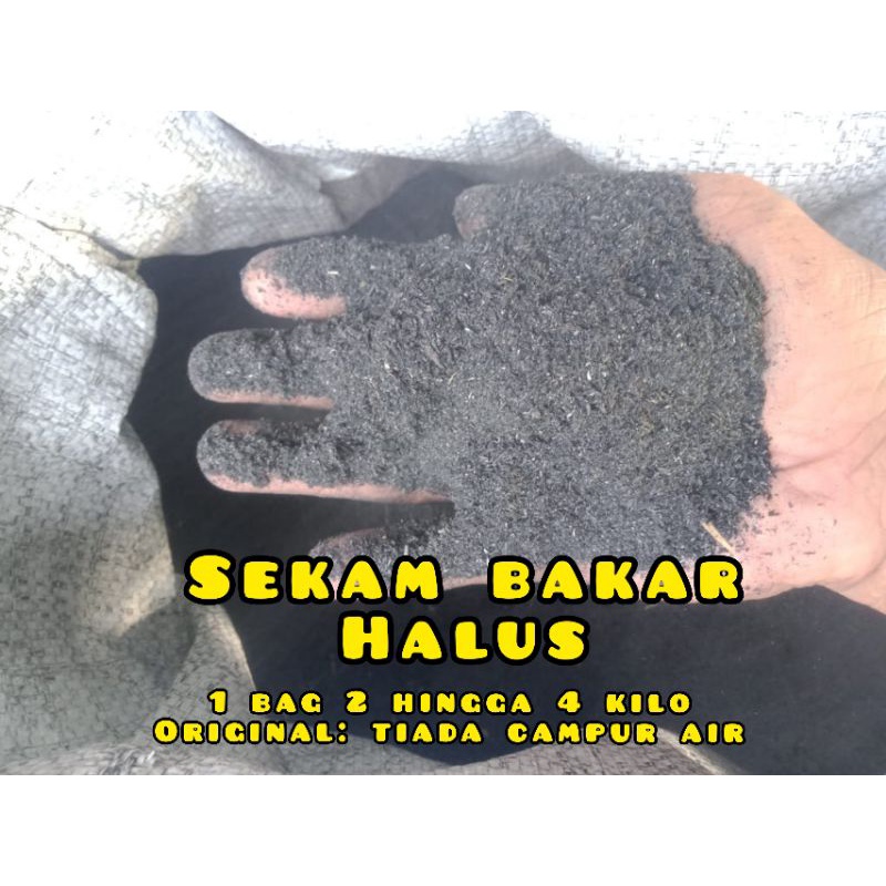 SERKAM BAKAR (KERING) | Shopee Malaysia