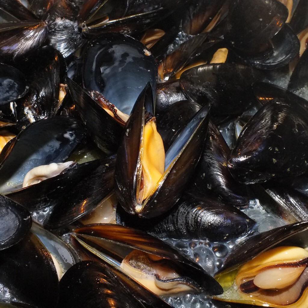 Premium Black Mussel 1KG / 全壳黑蚝 1KG (40pcs estimation)-IPOH SEAFOOD ...