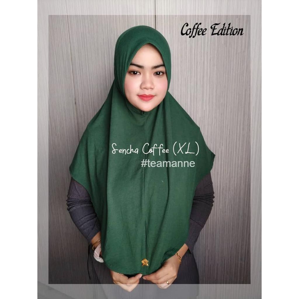 Readystock | XL SERENADE RAYA | Tudung SOUK ByCheFiza | KEMBALI RAYA ...