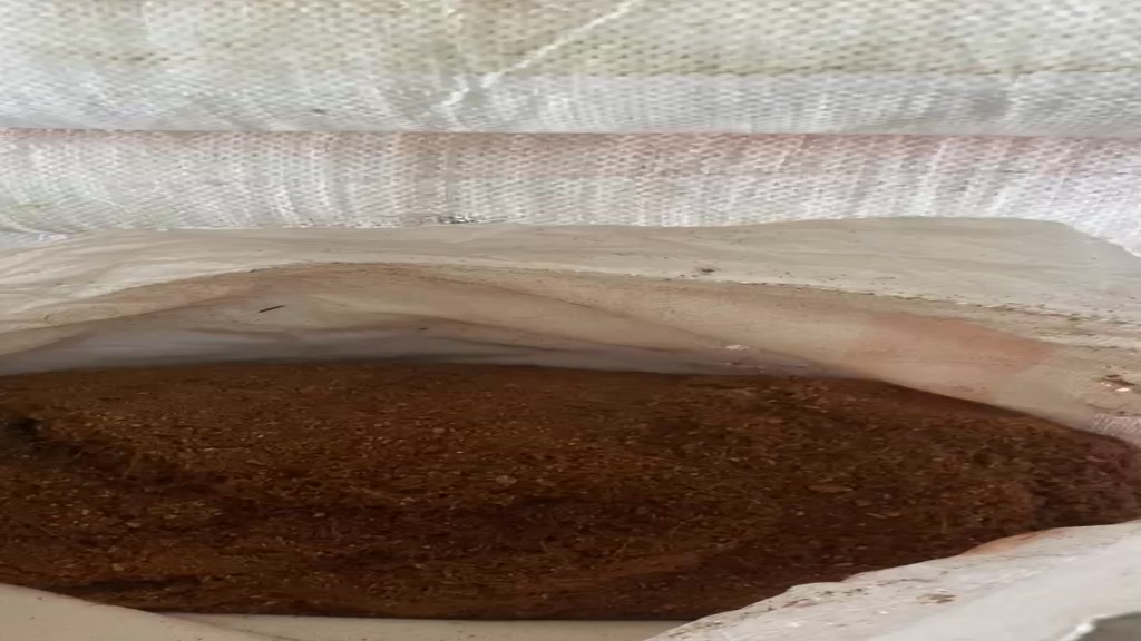 50L Cocopeat / Sabut Kelapa / 4 polybag 16 x 16 (SATU ORDER SATU GUNI ...