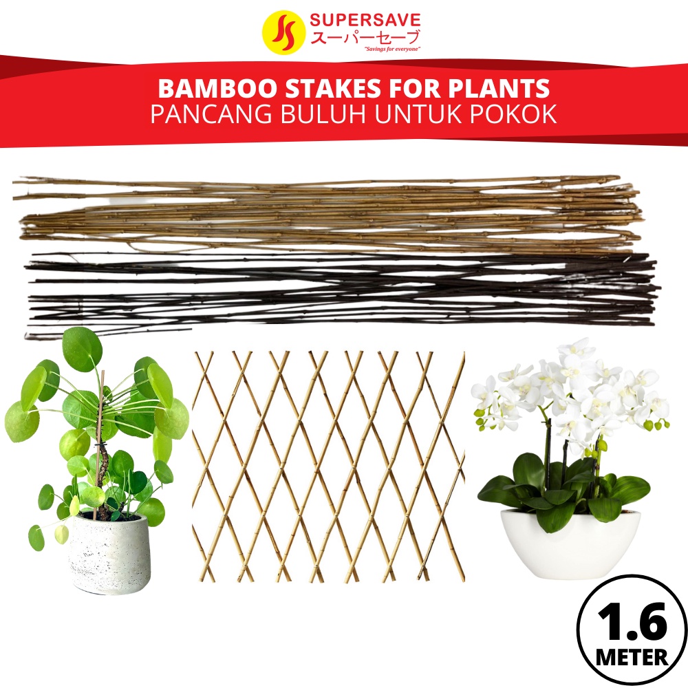 SUPERSAVE 20pcs Bamboo Pole Rod Bamboo Stake Stick Orchid Garden ...