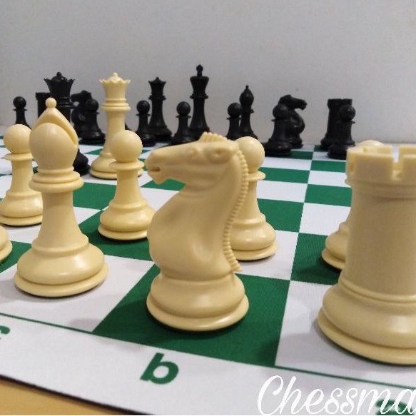 Marshall Staunton Plastic Chess Pieces 3.75" King Weighted with EXTRA ...