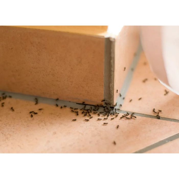 PESSO Eco Ant Repellent Spray (500ml) | Shopee Malaysia