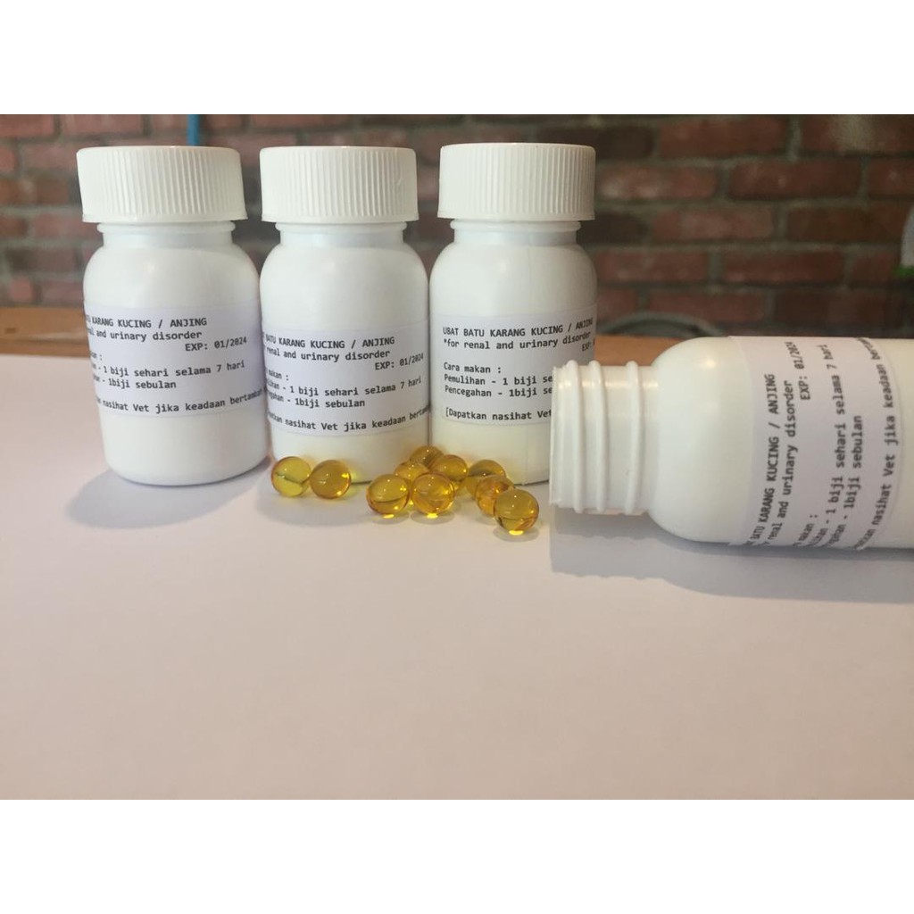 Ubat Batu Karang Kucing Anjing Feline Lower Urinary Tract Disease ...