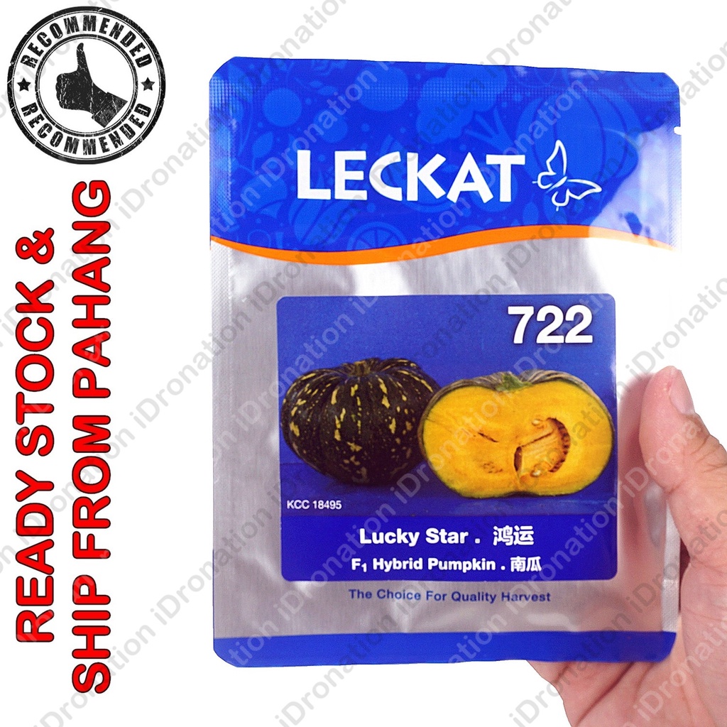 Leckat 722 755 Seed Seeds Biji Benih Buah Fruit 20G 100G Labu Manis ...