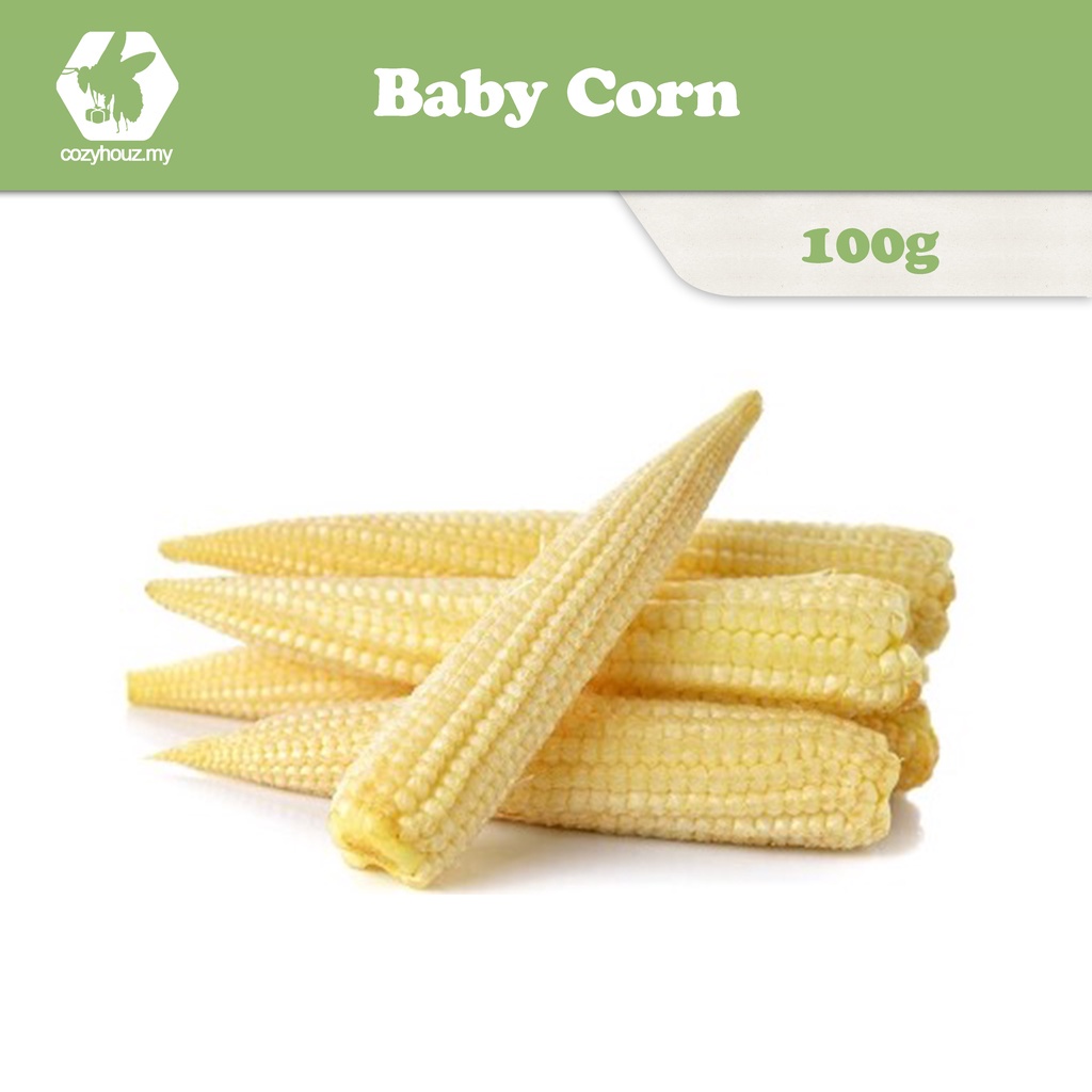 [BTW & PNG AREA ONLY] Baby Corn / Jagung Muda 100g | Shopee Malaysia
