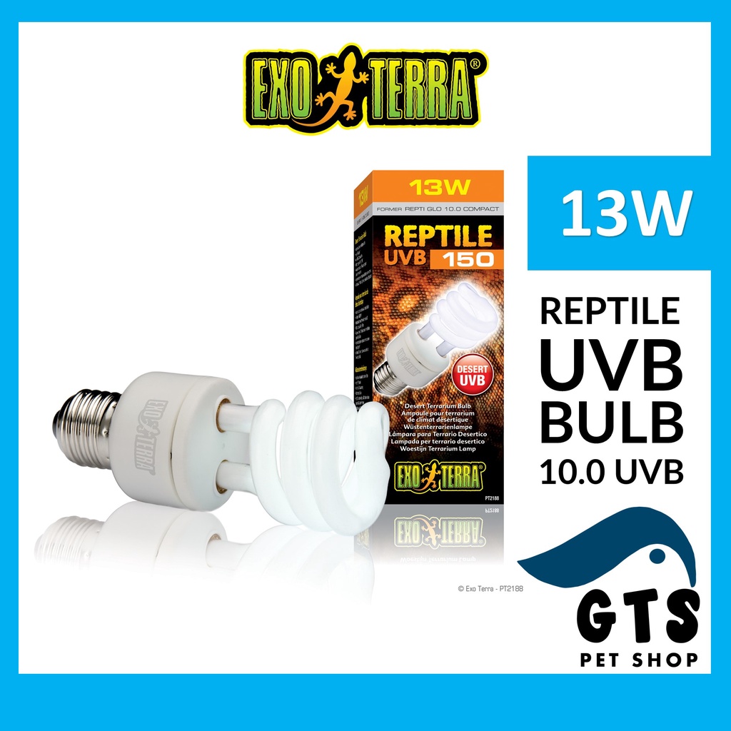 Exo Terra Reptile UVB 150 13W Reptile UVB 10.0 Light Bulb PT2188 | Shopee Malaysia