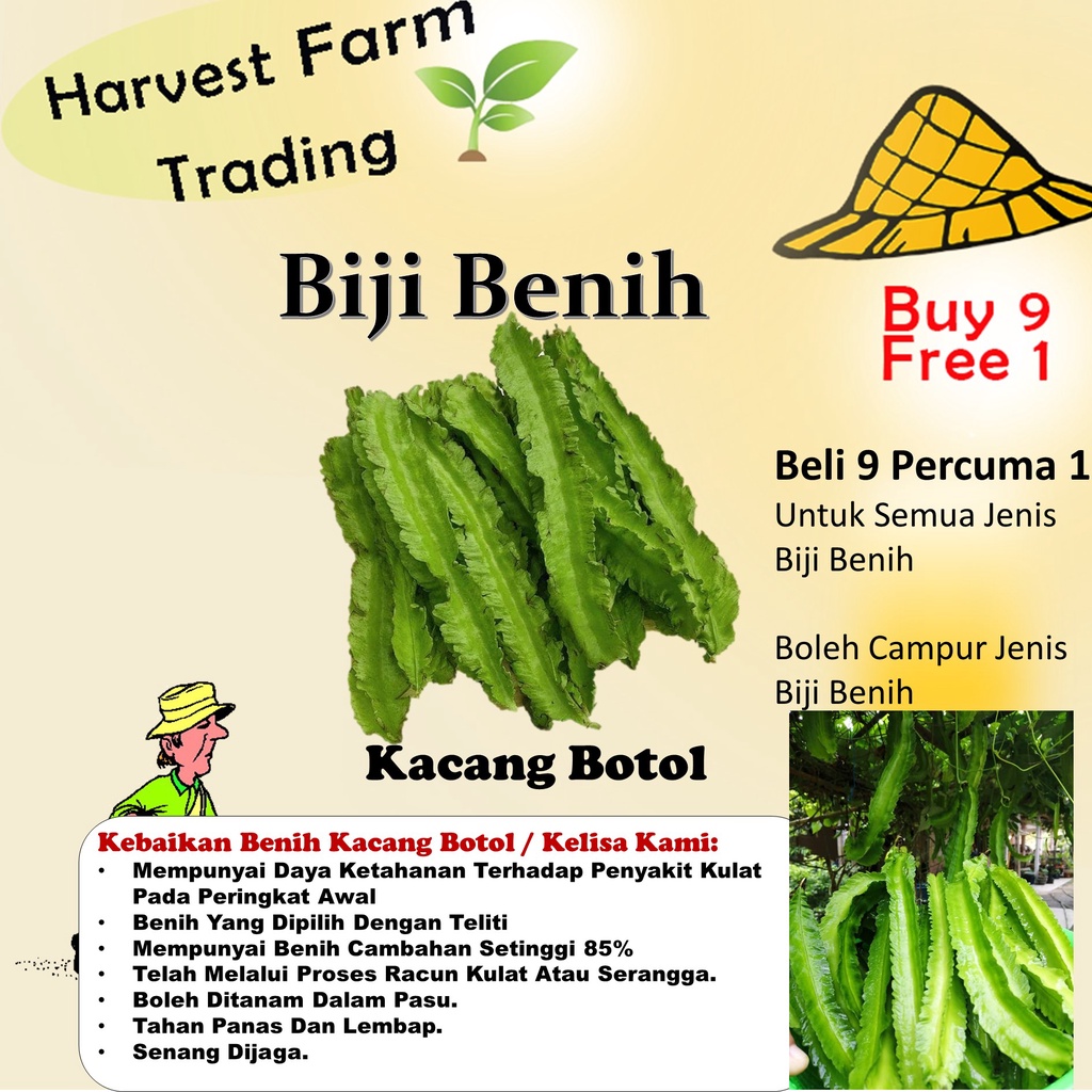BIJI BENIH KACANG BOTOL 8Pcs RENEK / ASAPARAGUS PEA BOLEH TANAM DALAM ...