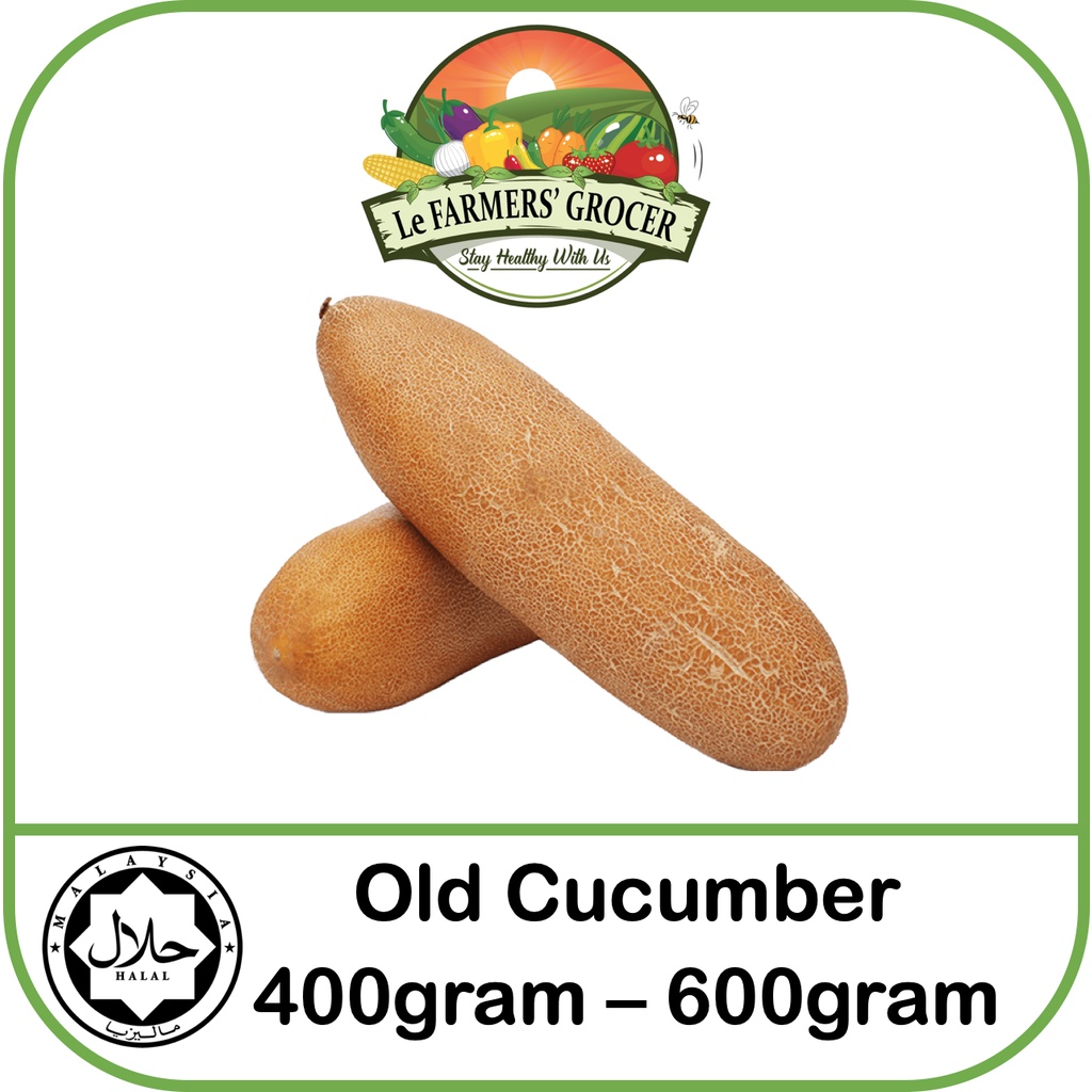 Timun Tua Cameron Old Cucumber 老黄瓜 1pcs 450g-650g Fresh Pick Veg ...