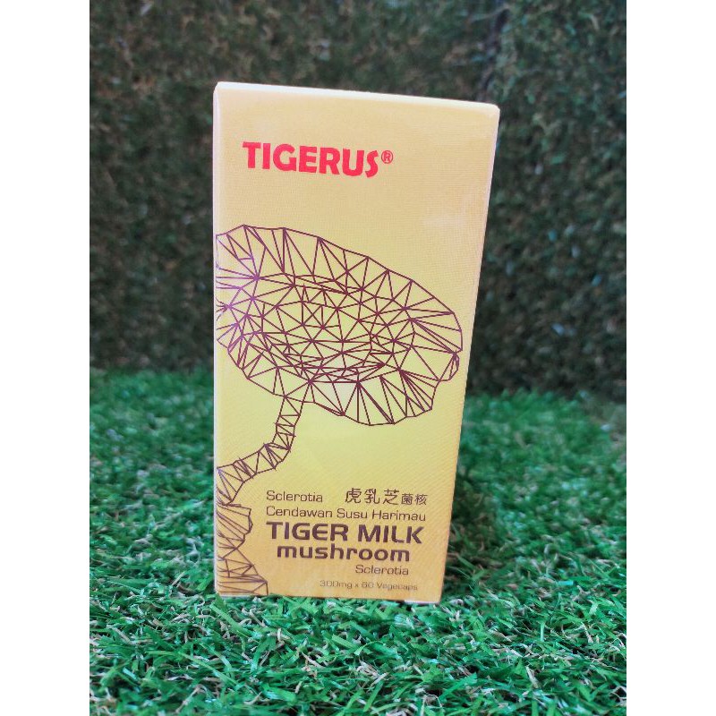 Tigerus Tiger Milk Mushroom 300mgx60 vegecaps | Shopee Malaysia