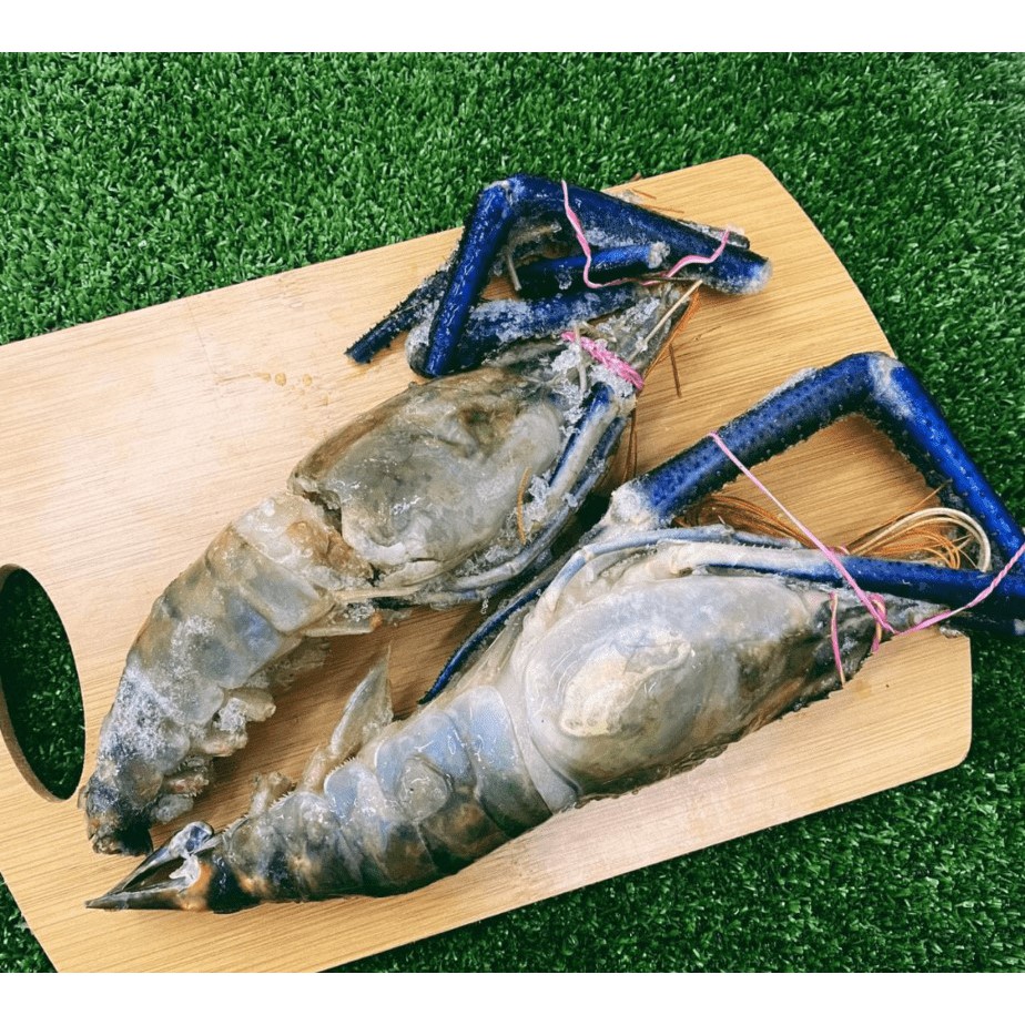 Frozen Scampi Water Prawn Udang Galah U7 (200 gm+-) 冷冻海鲜大头虾 Udang Galah ...