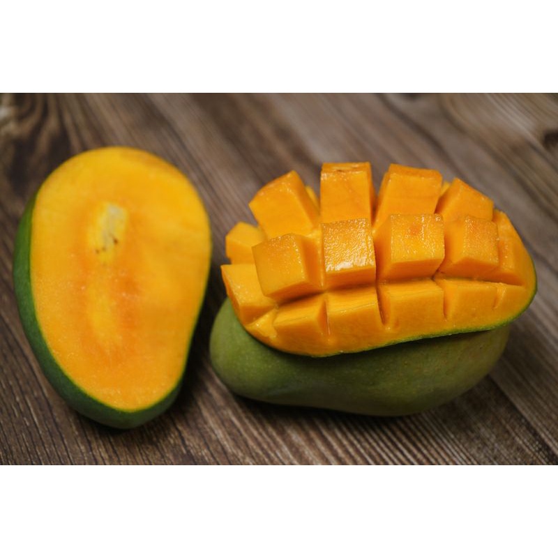 ANAK POKOK MANGGA HARUMANIS / HARUM MANIS (KAHWIN) | Shopee Malaysia