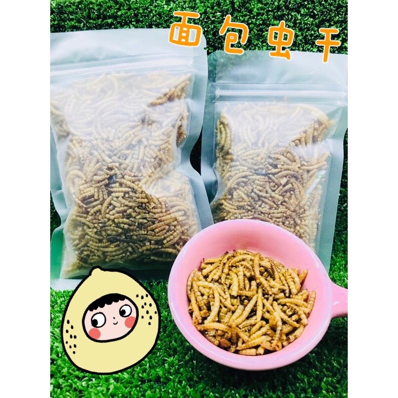 F10 Dried Mealworms For Small Pets Hamster Reptiles Ulat Kering Roti ...
