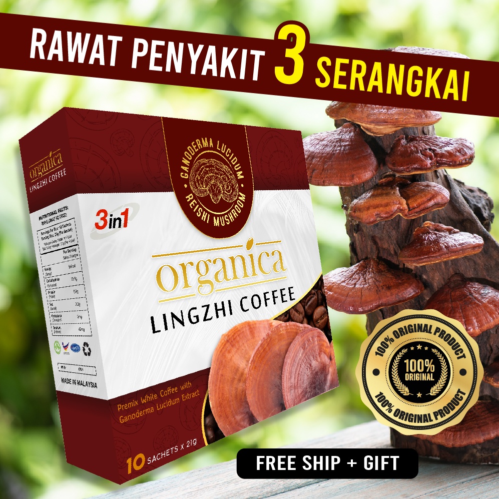 Kopi Lingzhi Original Formulasi Lingzhi Ganoderma Rawat Darah Tinggi ...