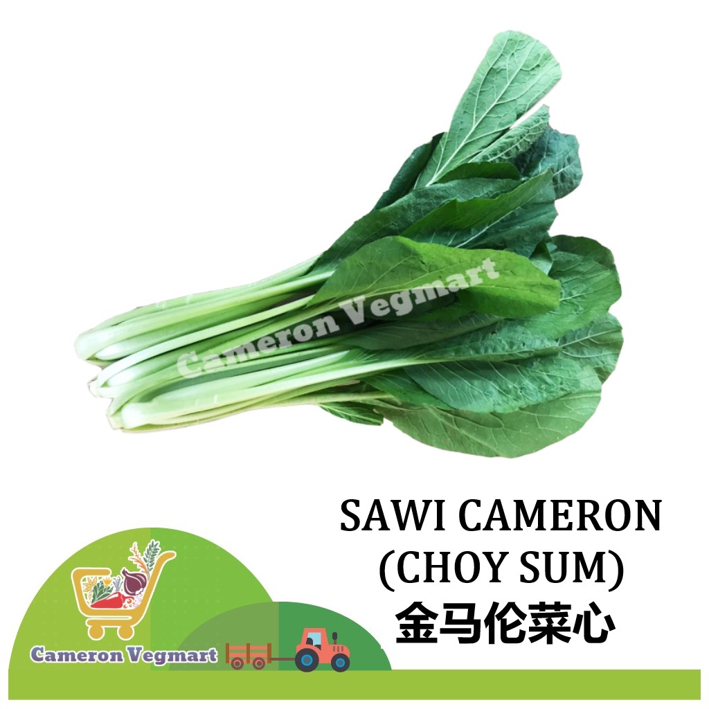 Sawi Cameron (Choy Sum) 金马伦新鲜菜心 | Shopee Malaysia