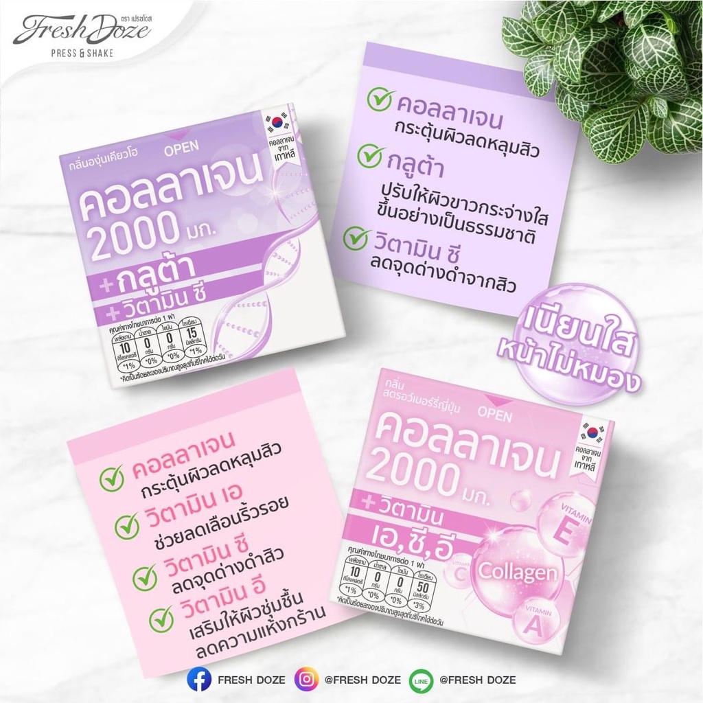 Fresh doze Press & Shake Dose And 3.5G x 12 Boxes Pack | Shopee Malaysia