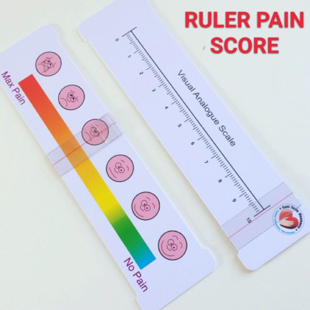 💥 RULER PAIN SCORE 💥 | Shopee Malaysia