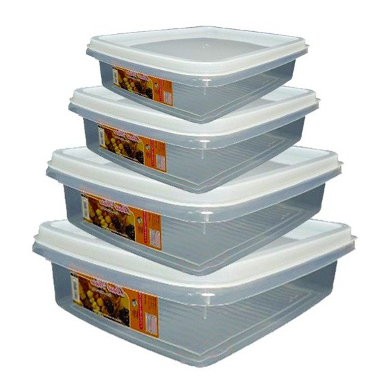 Food Container / Rectangular Container / Freezer Bekas Makanan (BEST ...