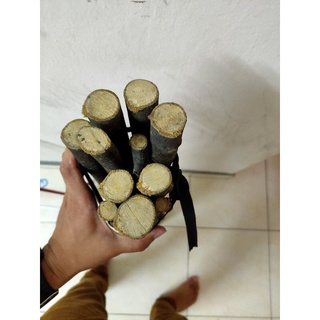 KAYU TAS ASLI SEMENANJUNG/KAYU HUJAN PANAS/KAYU LIMPANAS | Shopee Malaysia