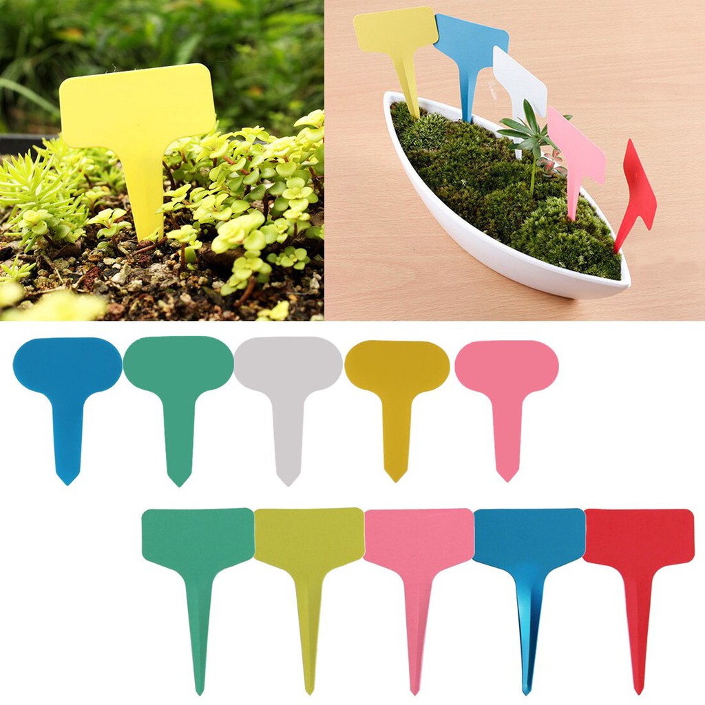 10pcs plant tag /plant Tag/Plant Label/Penanda Pokok/Plant Tag : 5cm x ...