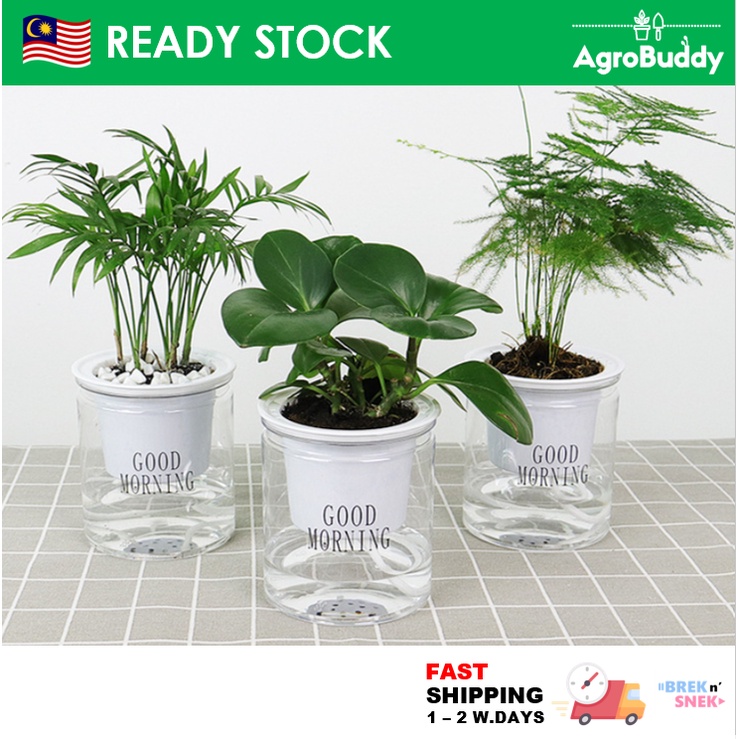AgroBuddy Transparent Round Self Watering Pot / Pasu Penyerap Air ...