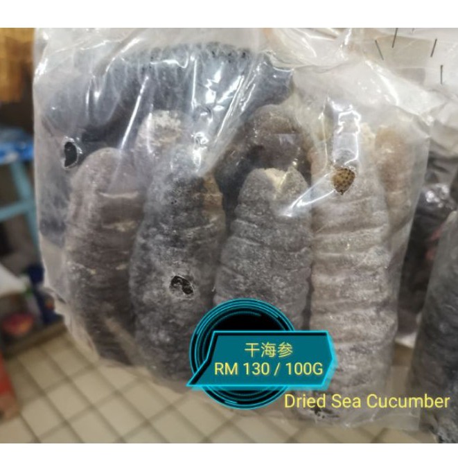 ( READY STOCK) ORIGINAL SABAH 100％ DRIED SEA CUCUMBER 100％干 朱婆参 ...