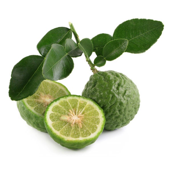 dried kaffir lime leaf/powder/peel makrut | daun/kulit/serbuk limau ...