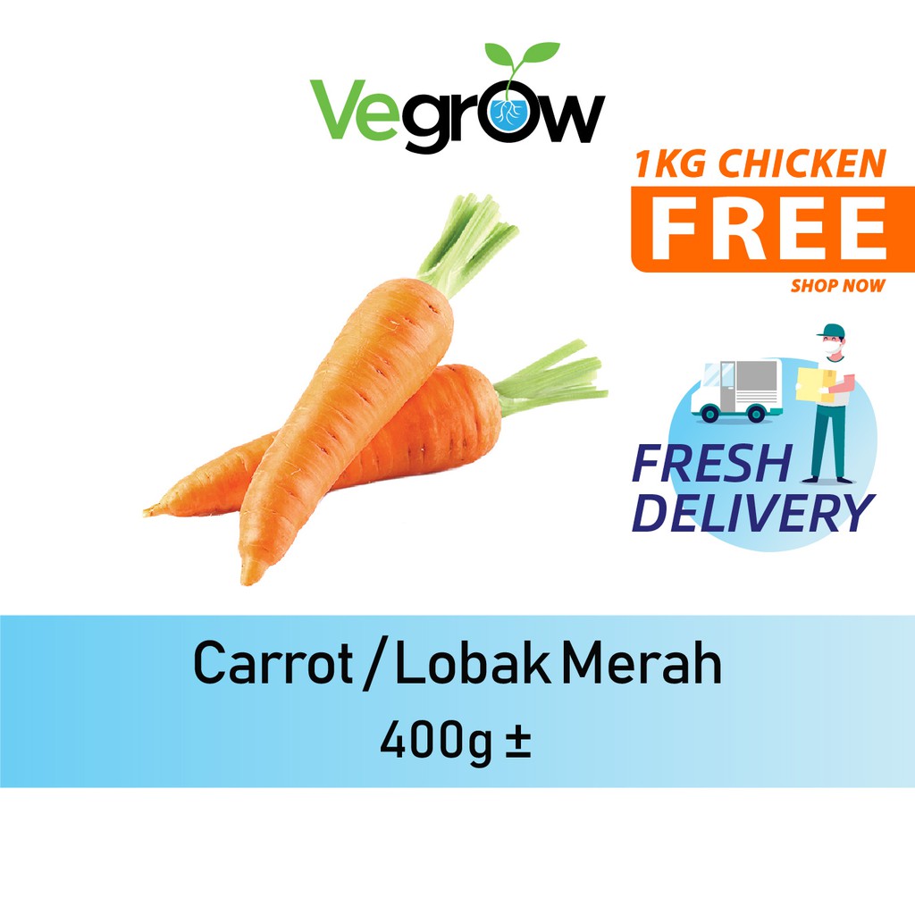 🔥FRESH 🔥Carrot / Lobak Merah 400g +- | Shopee Malaysia