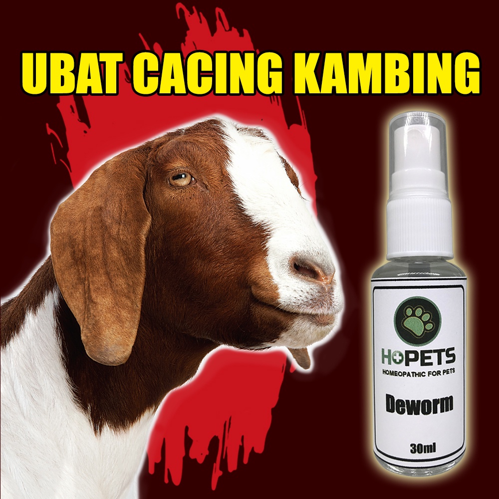 Ubat Cacing Kambing - Ubat Cacing Kambing Lembu Homeopathy Spray 30ml ...